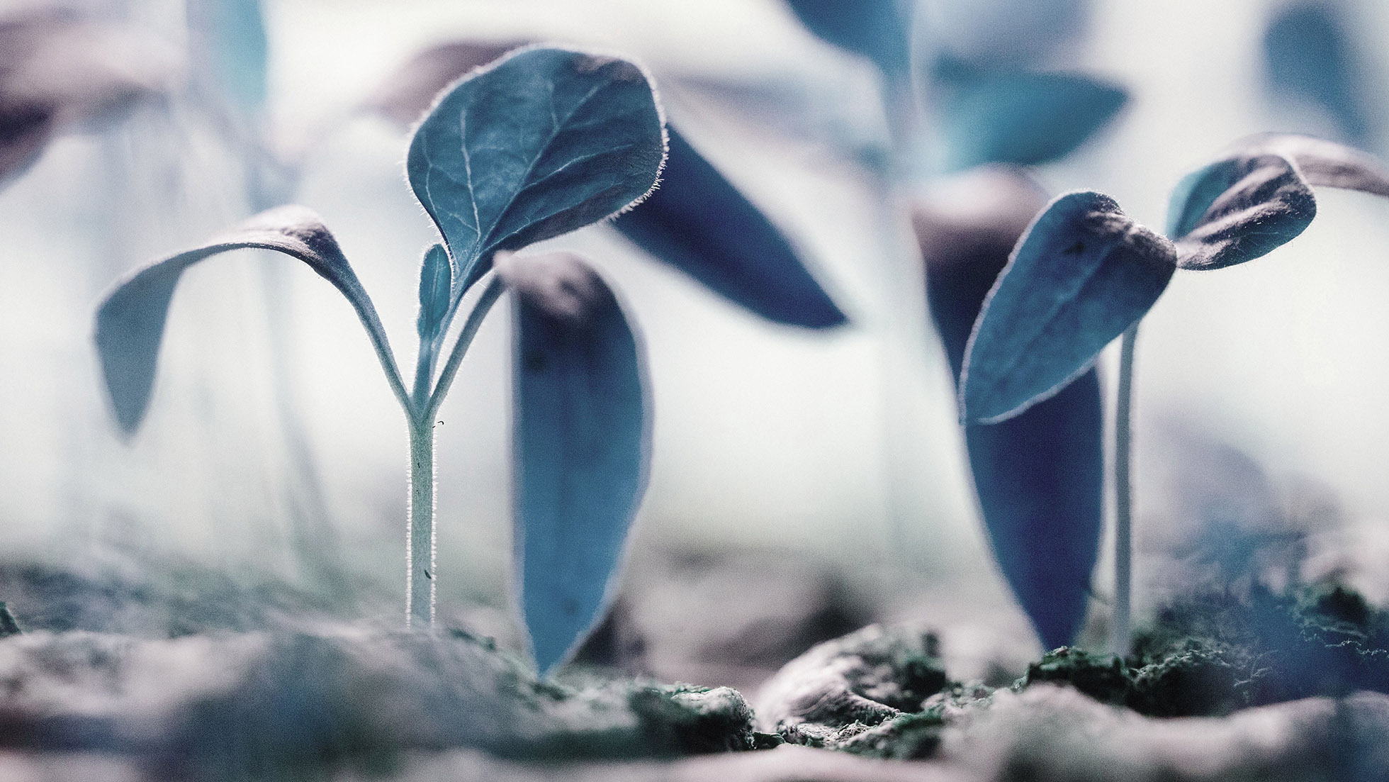 Grey Silo Ventures – Grey Silo Ventures